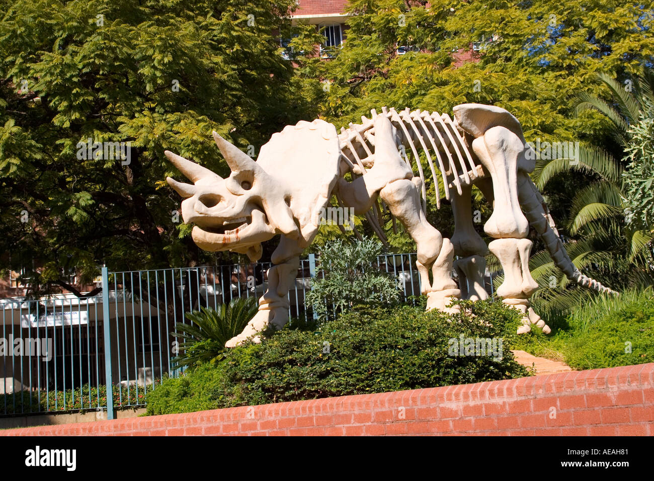 Pretoria Transvaal Museum Stock Photo - Alamy