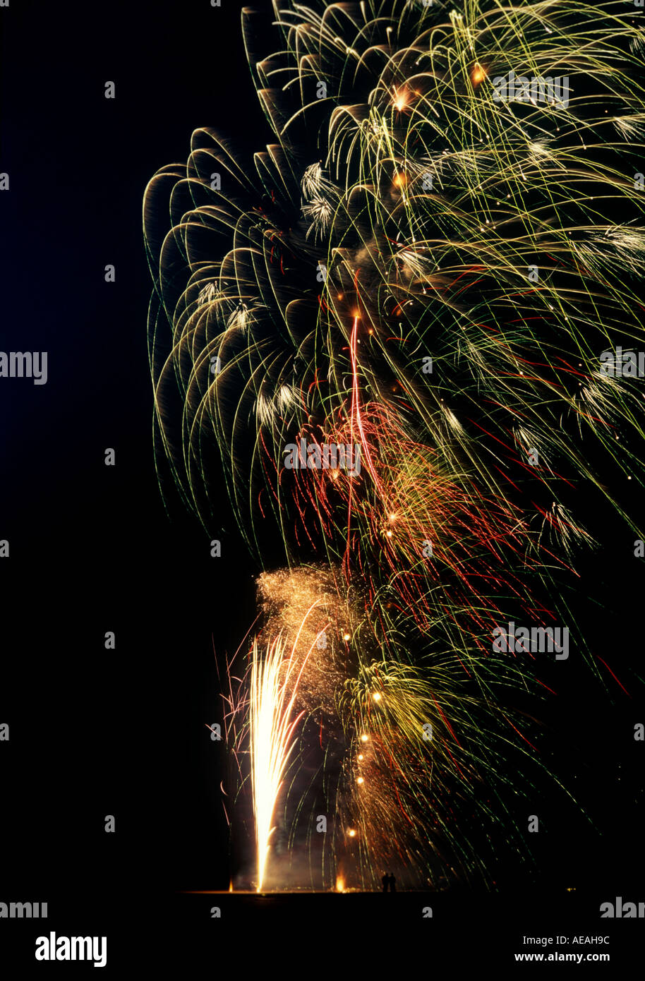 fireworks exploding in night sky fireworks pyrotechnics display ...