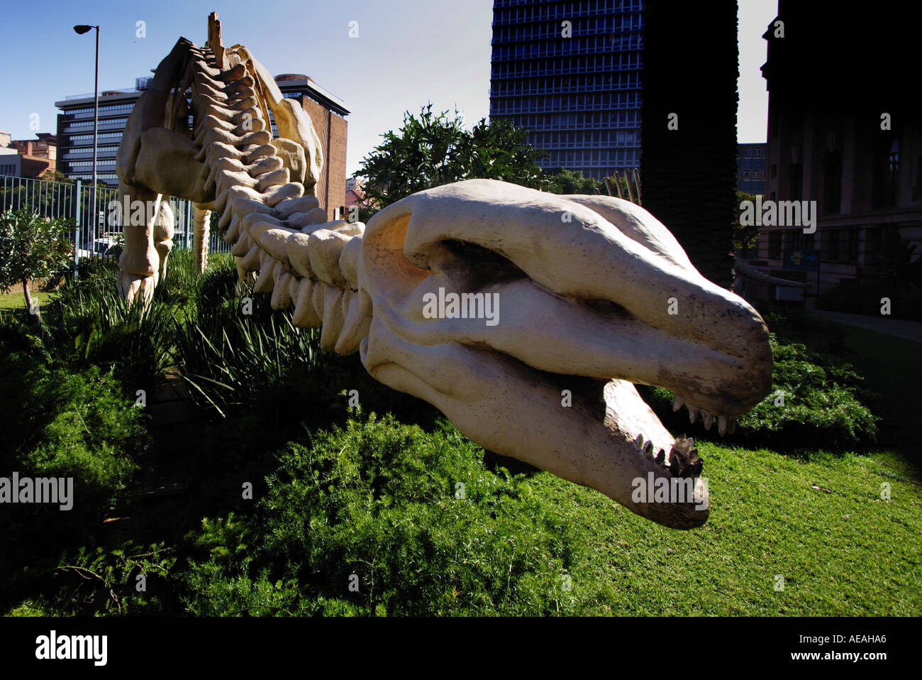 Transvaal Museum Pretoria City Stock Photo - Alamy