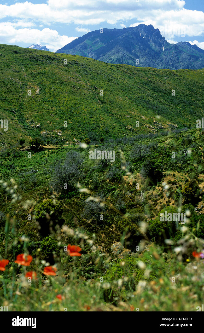 A distant view of Mount Cinto across the Balagne of north Corsica Stock ...