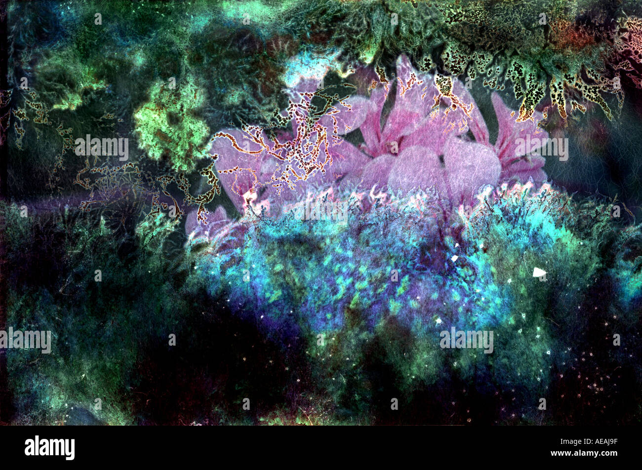 beautiful abstract showing mould decay on film Stock Photo - Alamy