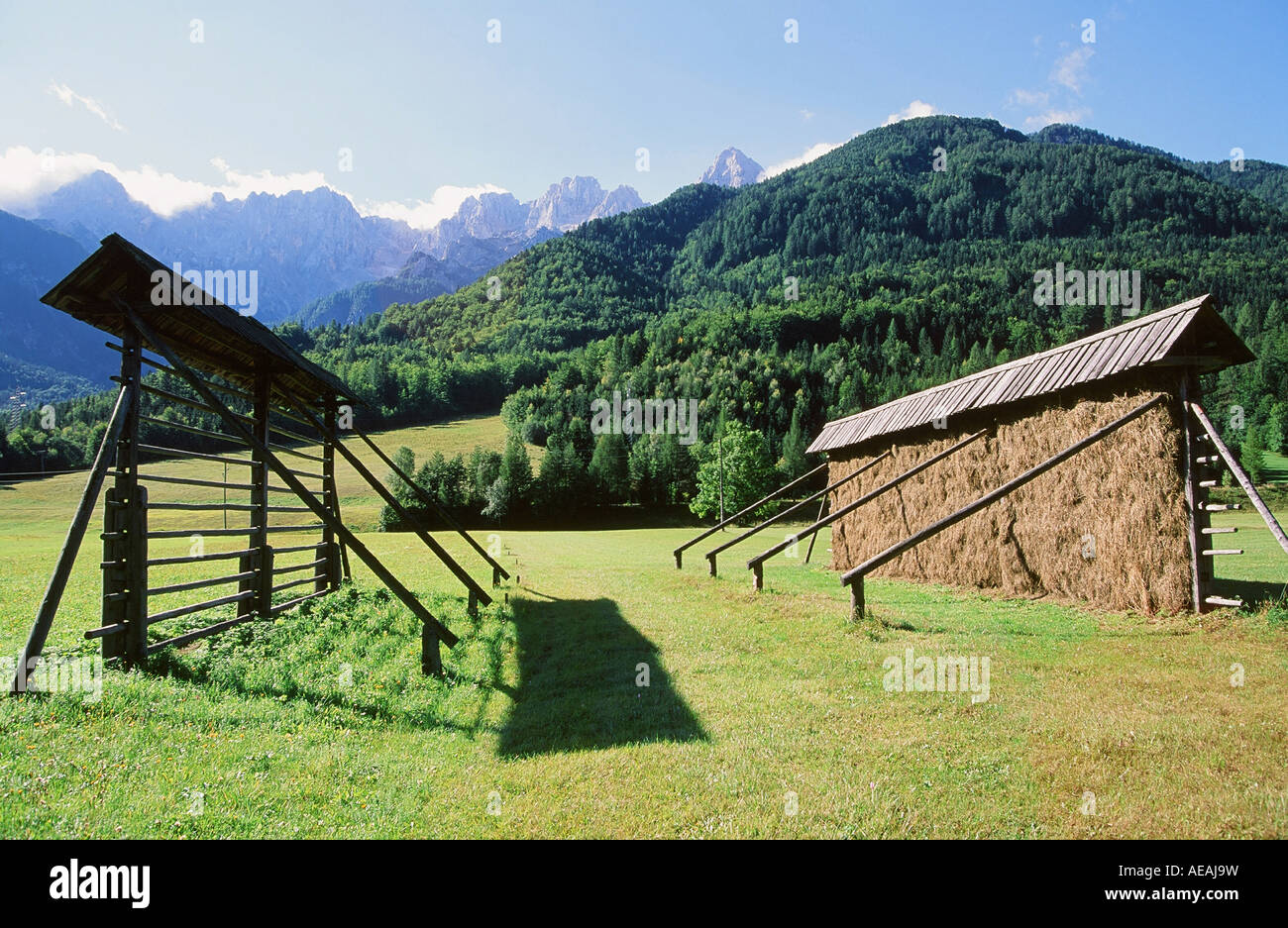 Hay drying racks in Triglav National Park, Slovenia Stock Photo - Alamy
