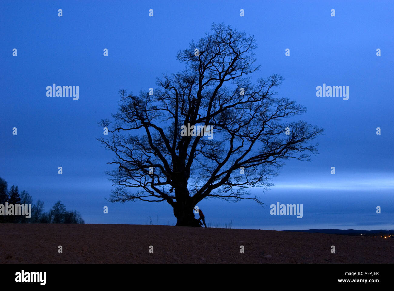 Aas symbol hi-res stock photography and images - Alamy