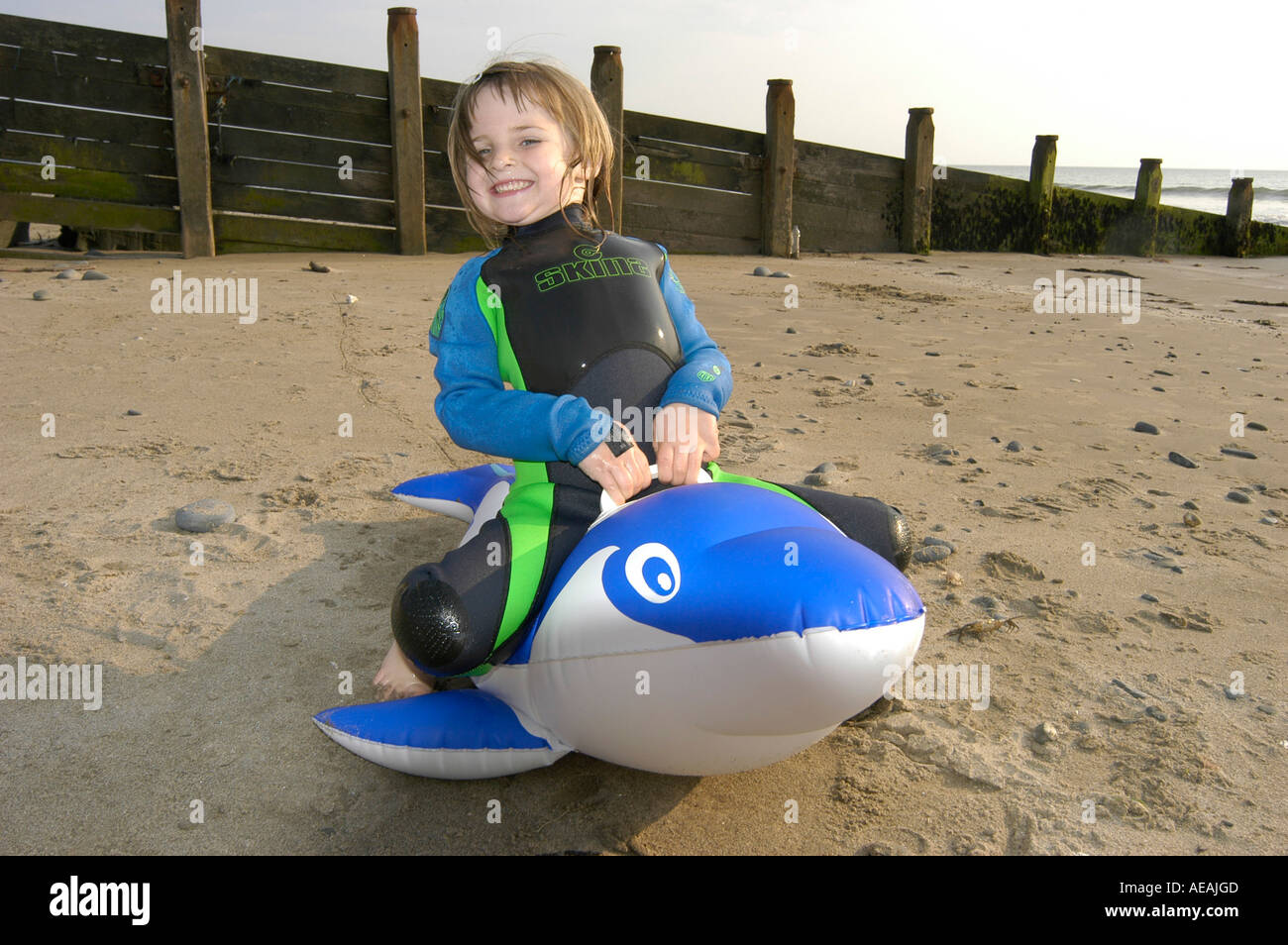 Dolphin suit hi-res stock photography and images - Alamy