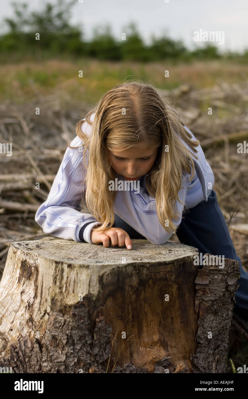 Talsarn High Resolution Stock Photography and Images - Alamy