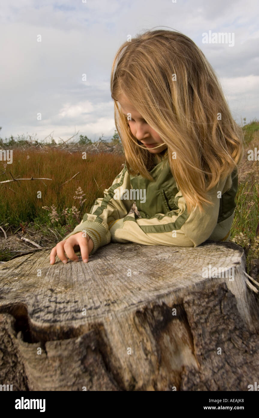 Counting the rings hi-res stock photography and images - Alamy