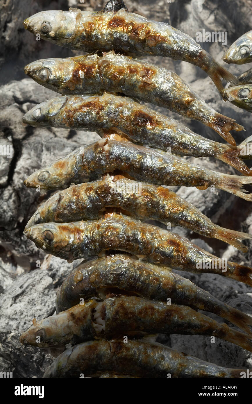 Sardines cooked over charcoal fire with espeto Malaga Spain Stock Photo ...