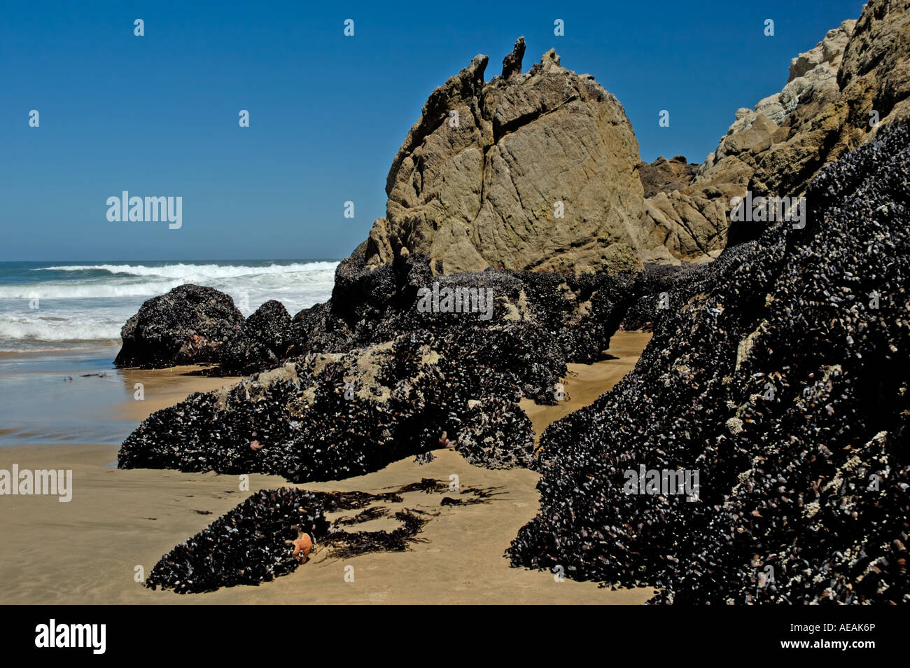 Monaara hi-res stock photography and images - Alamy