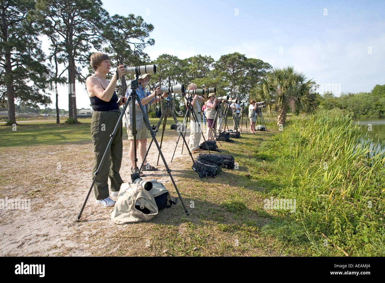 Bird Photographers at the ready Venice Rookery Venice Florida Stock ...