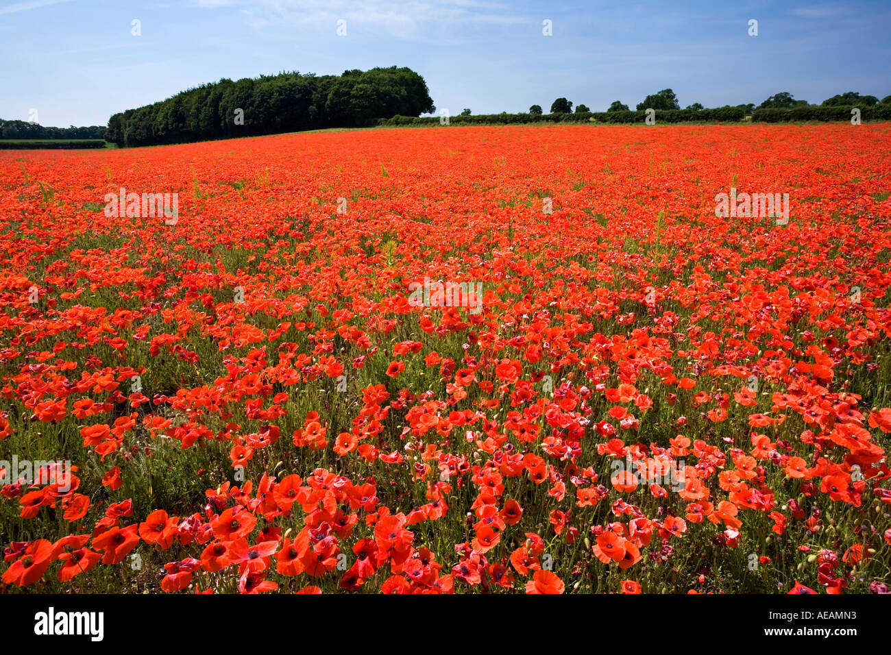 Massingham hi-res stock photography and images - Alamy
