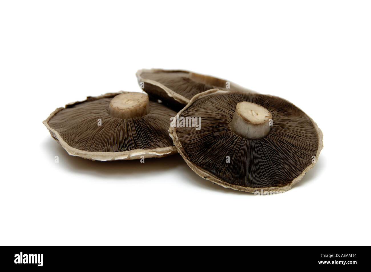 Cut mushroom icon outline Cut Out Stock Images & Pictures - Alamy