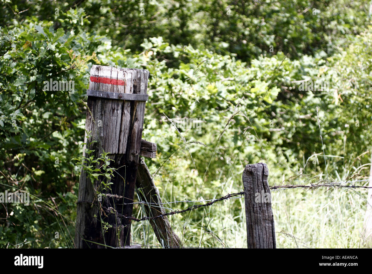 Red grande randonnee hi-res stock photography and images - Alamy