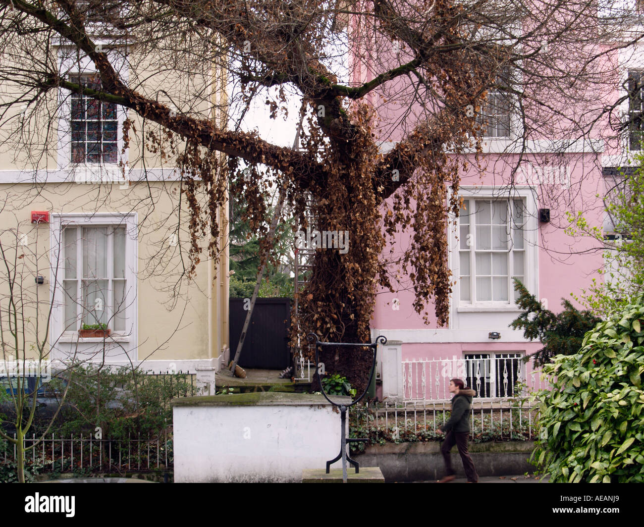 Georgian Town house, Camberwell grove Stock Photo - Alamy