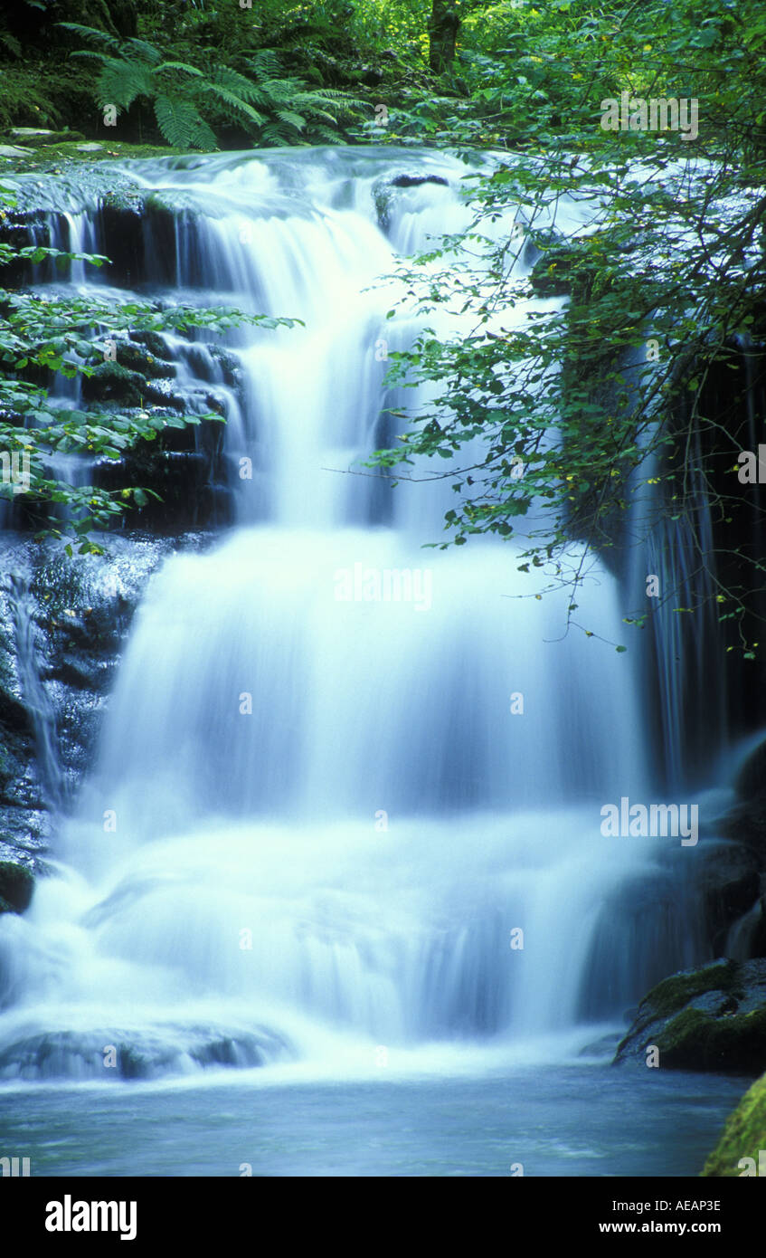 Waterfall at Watersmeet Exmoor Devon England Stock Photo - Alamy