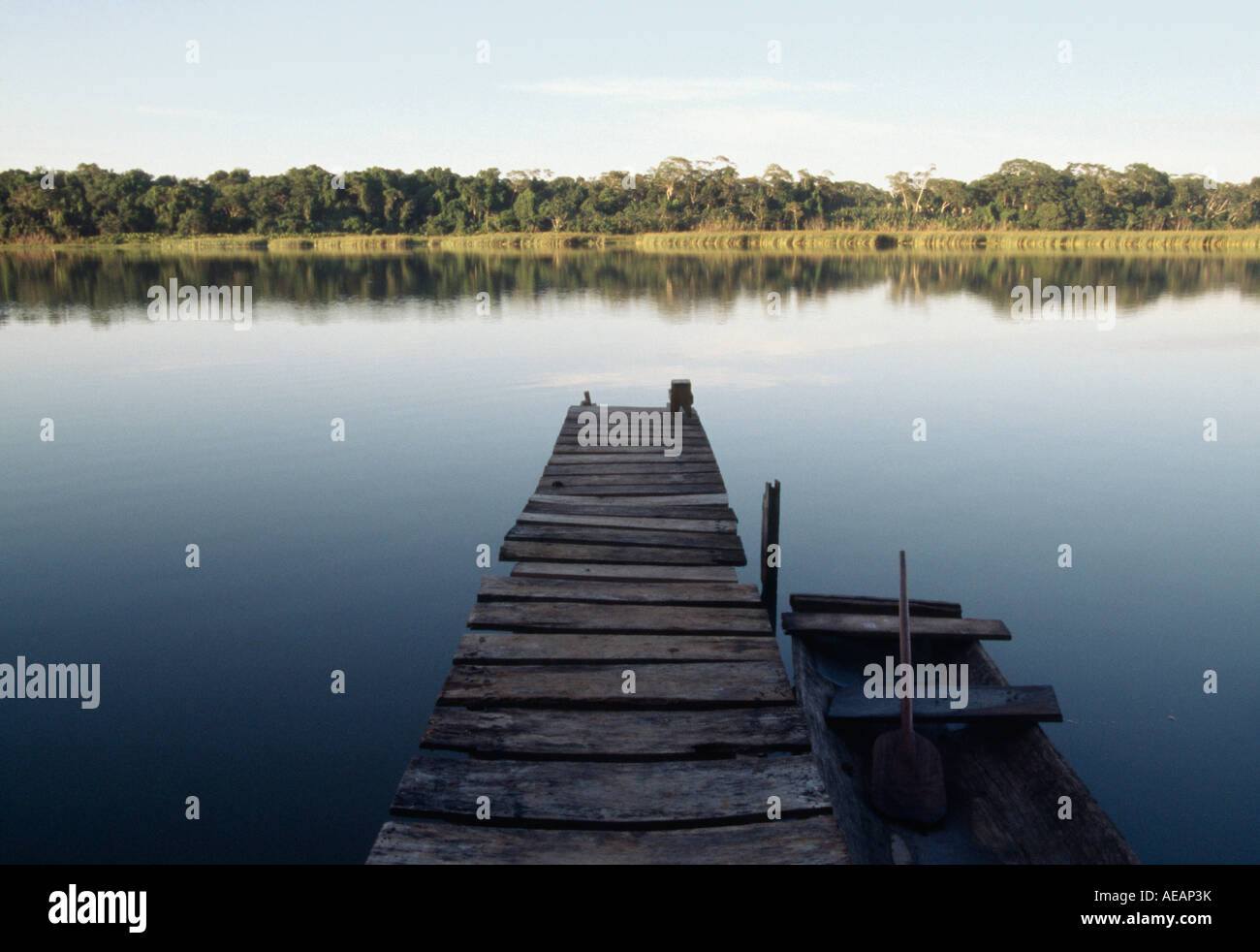 Jetty - Amazon basin, Beni, BOLIVIA Stock Photo - Alamy