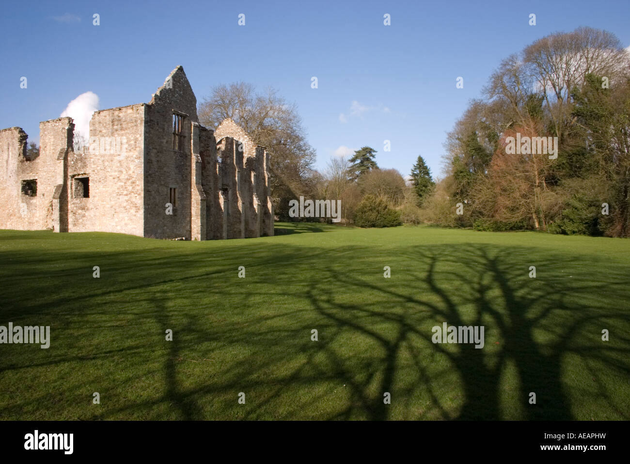 Netley Abbey , Solent , Hampshire , England Stock Photo - Alamy