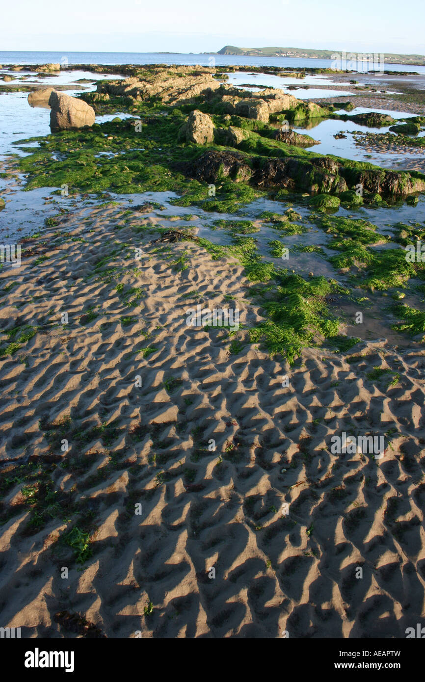 patterns in the sand at dusk on the beach at Clonmea Bay near Dungarvan ...