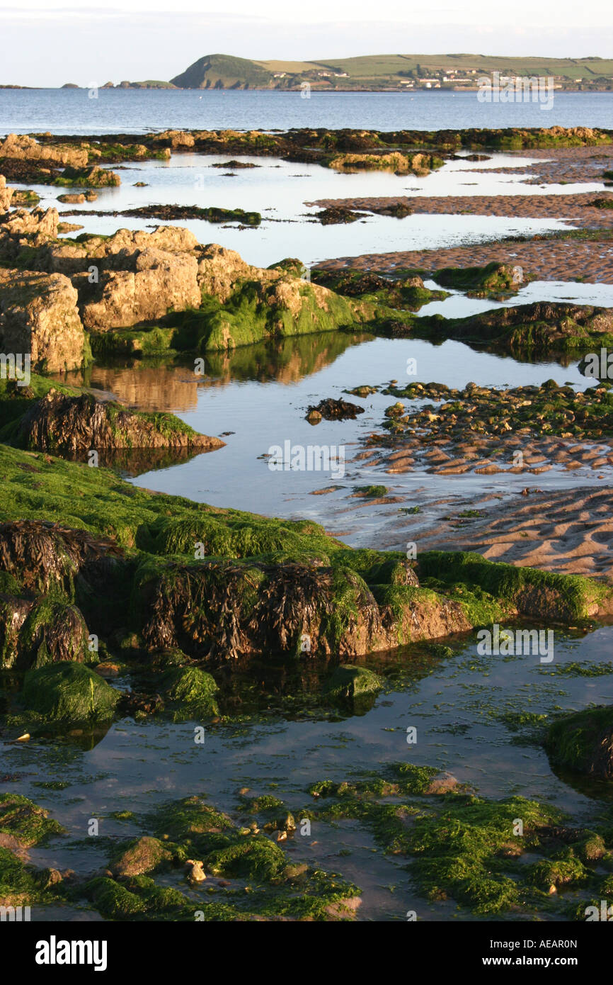 Clonea ireland hi-res stock photography and images - Alamy