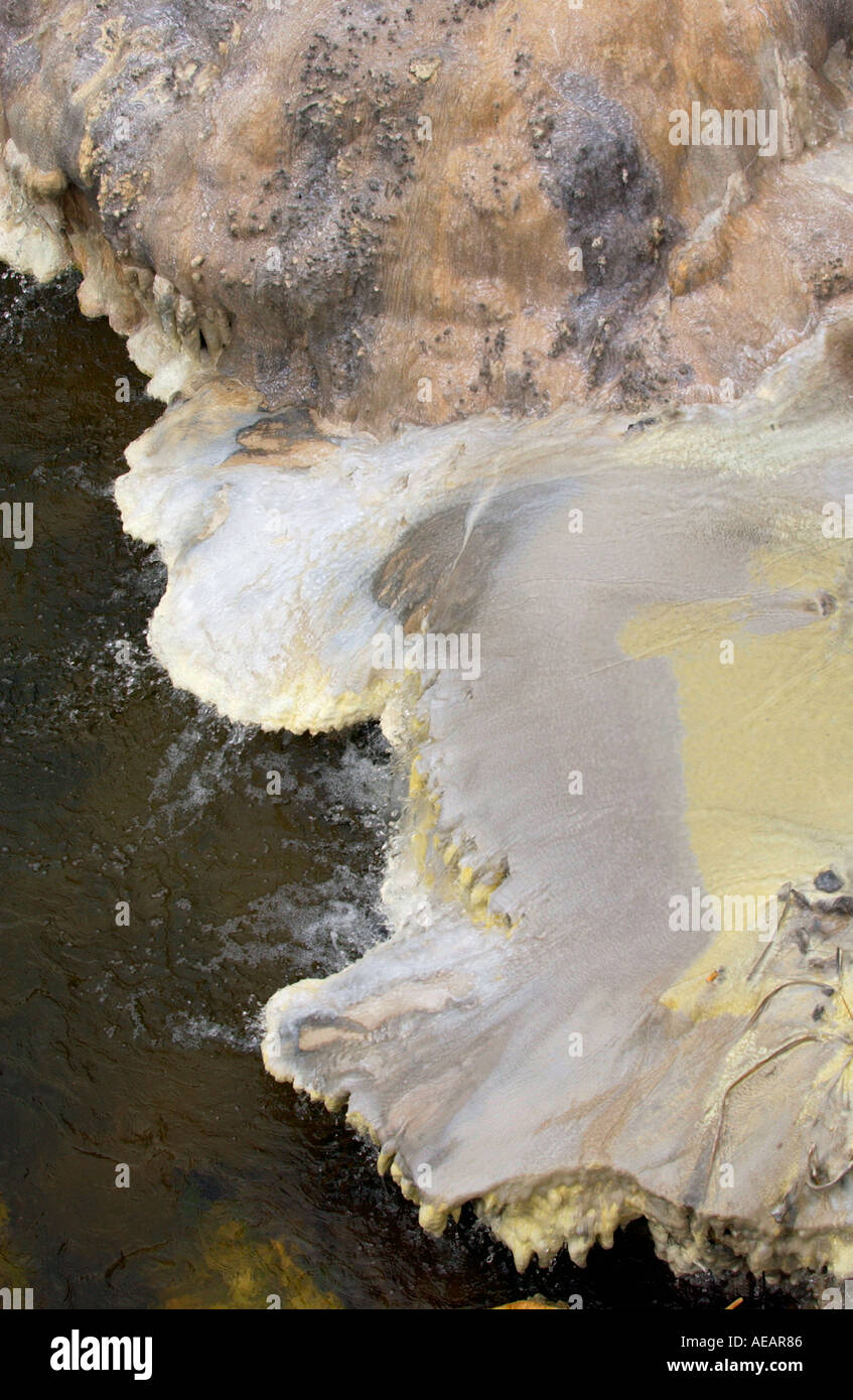 Salts and sulphur deposits on rocks from geyser Rotorua New Zealand ...