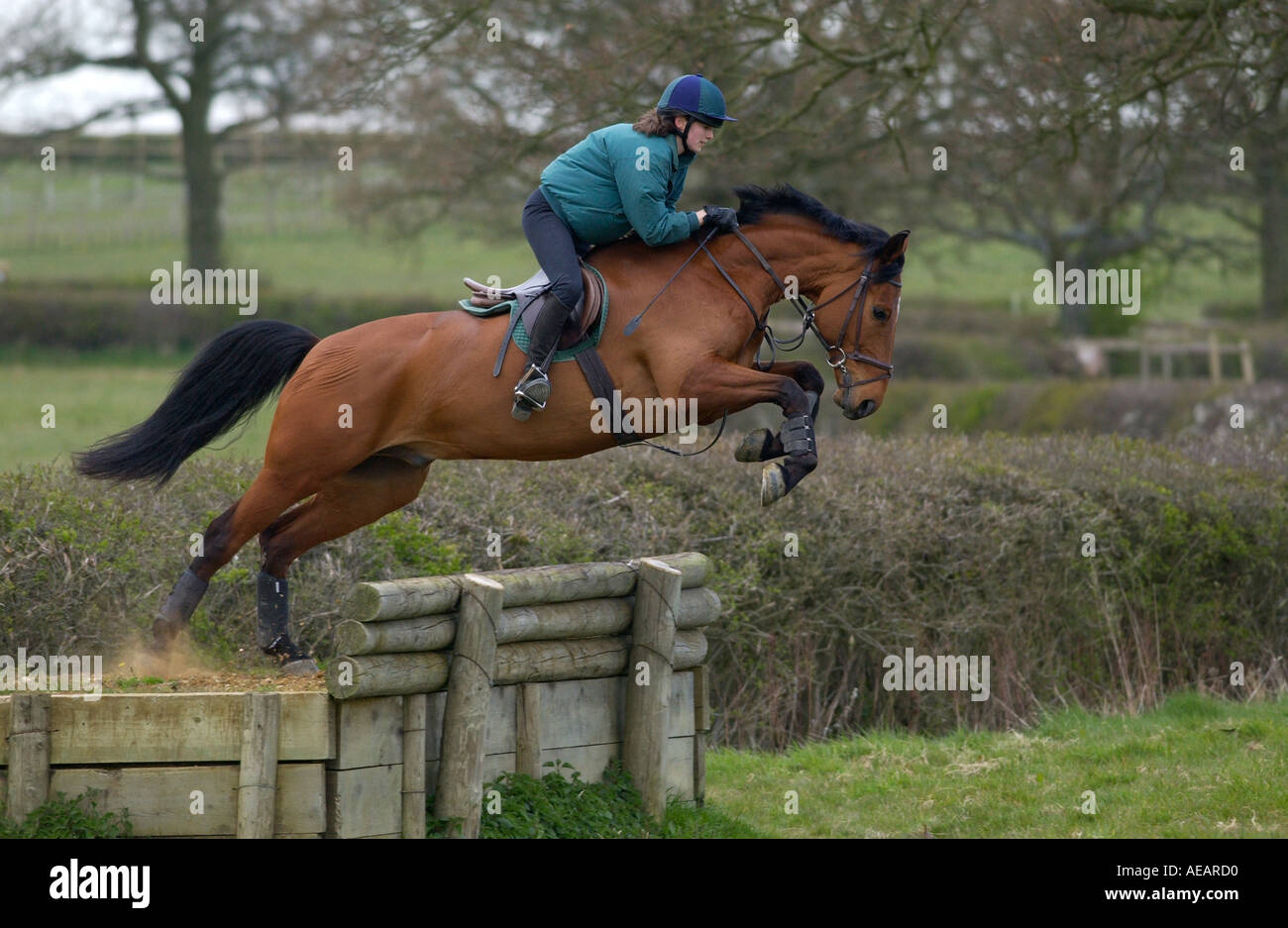 Rider equestrian england hi-res stock photography and images - Alamy
