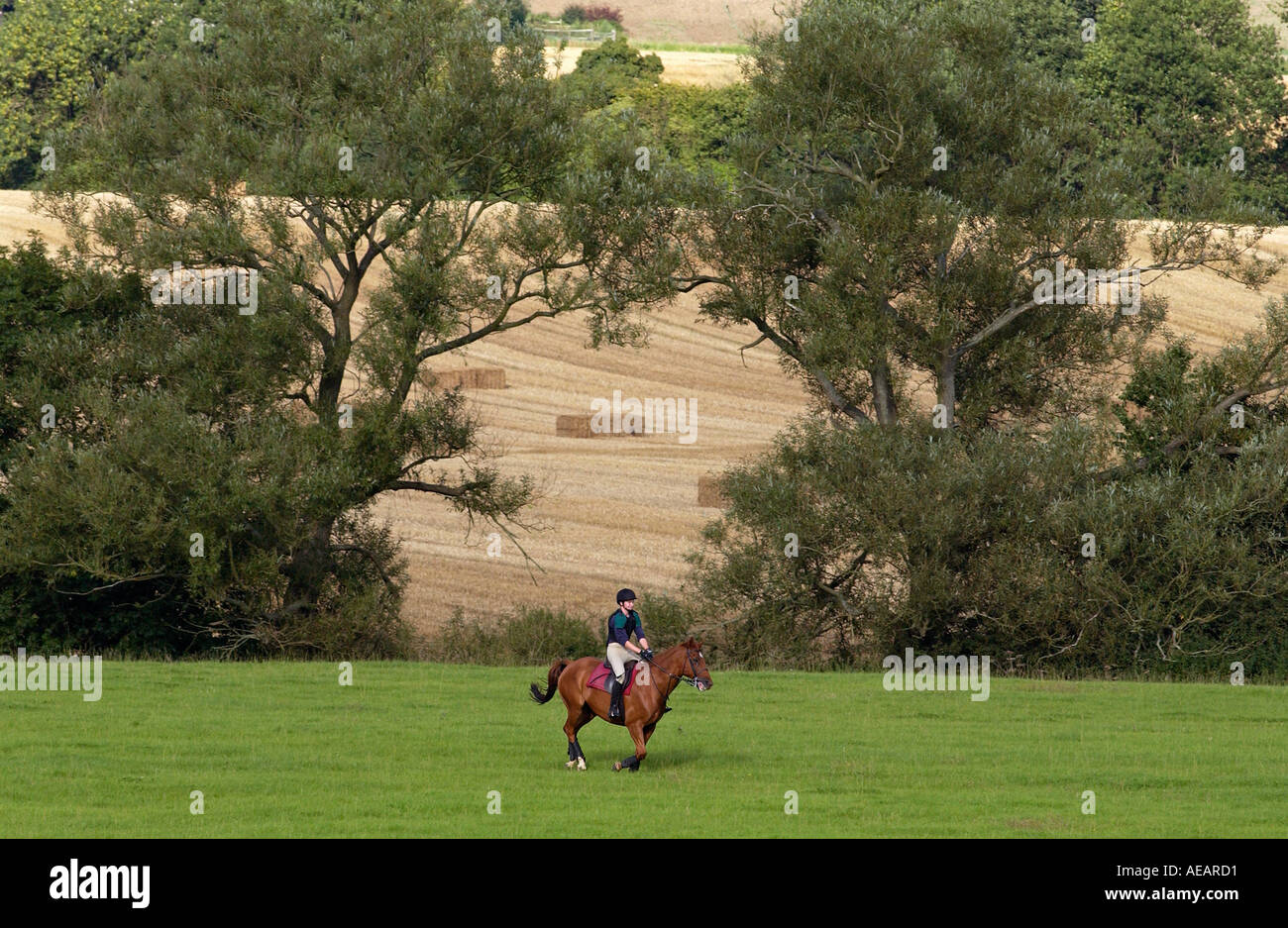Young rider competing in cross country equine event in Oxfordshire with ...