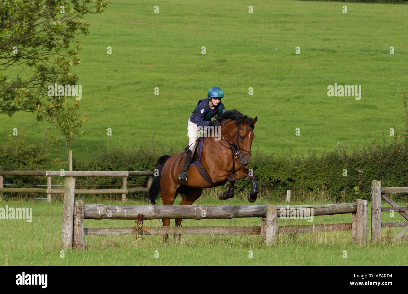 Young rider competing in cross country equine event in Oxfordshire with ...