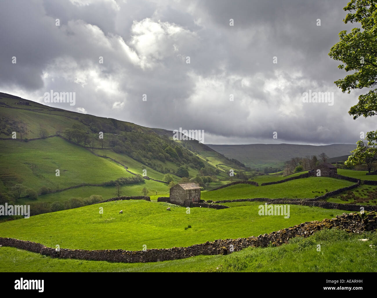 Typical Dales landscape between Keld and Muker, Swaledale, North ...