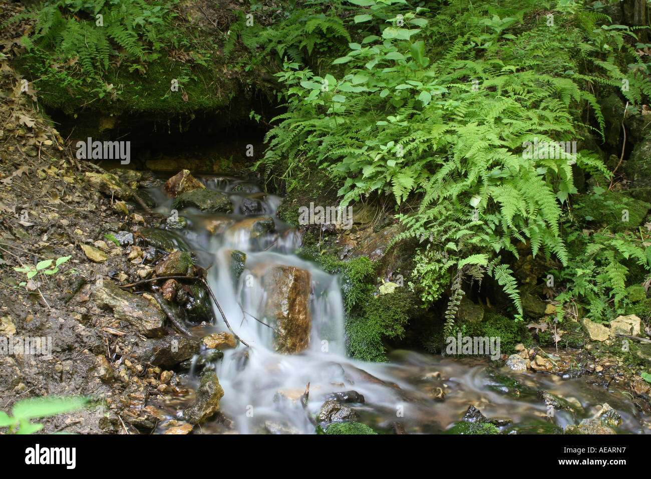 Duttons hi-res stock photography and images - Alamy