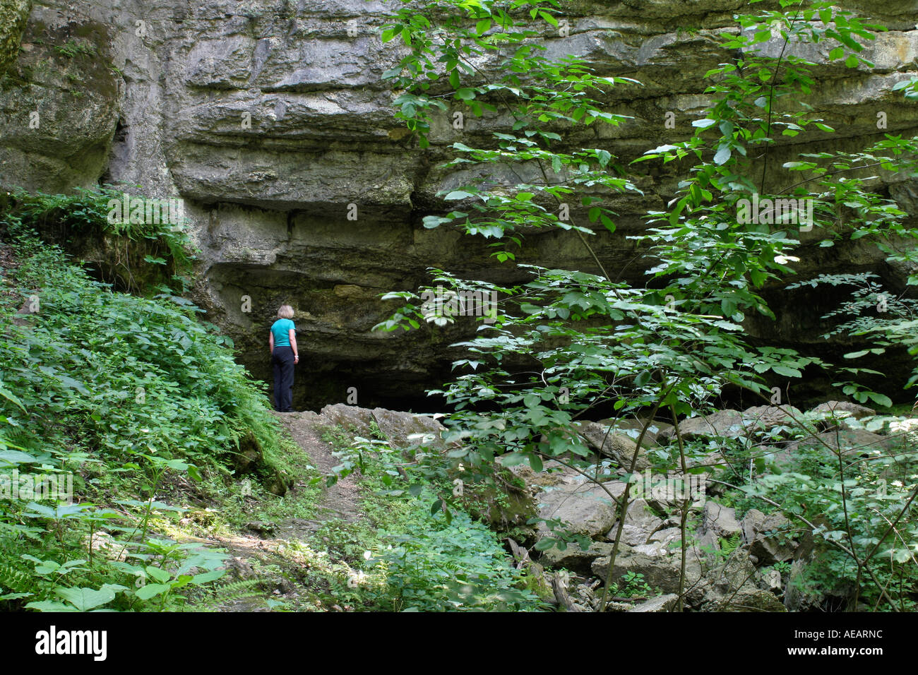 Duttons hi-res stock photography and images - Alamy