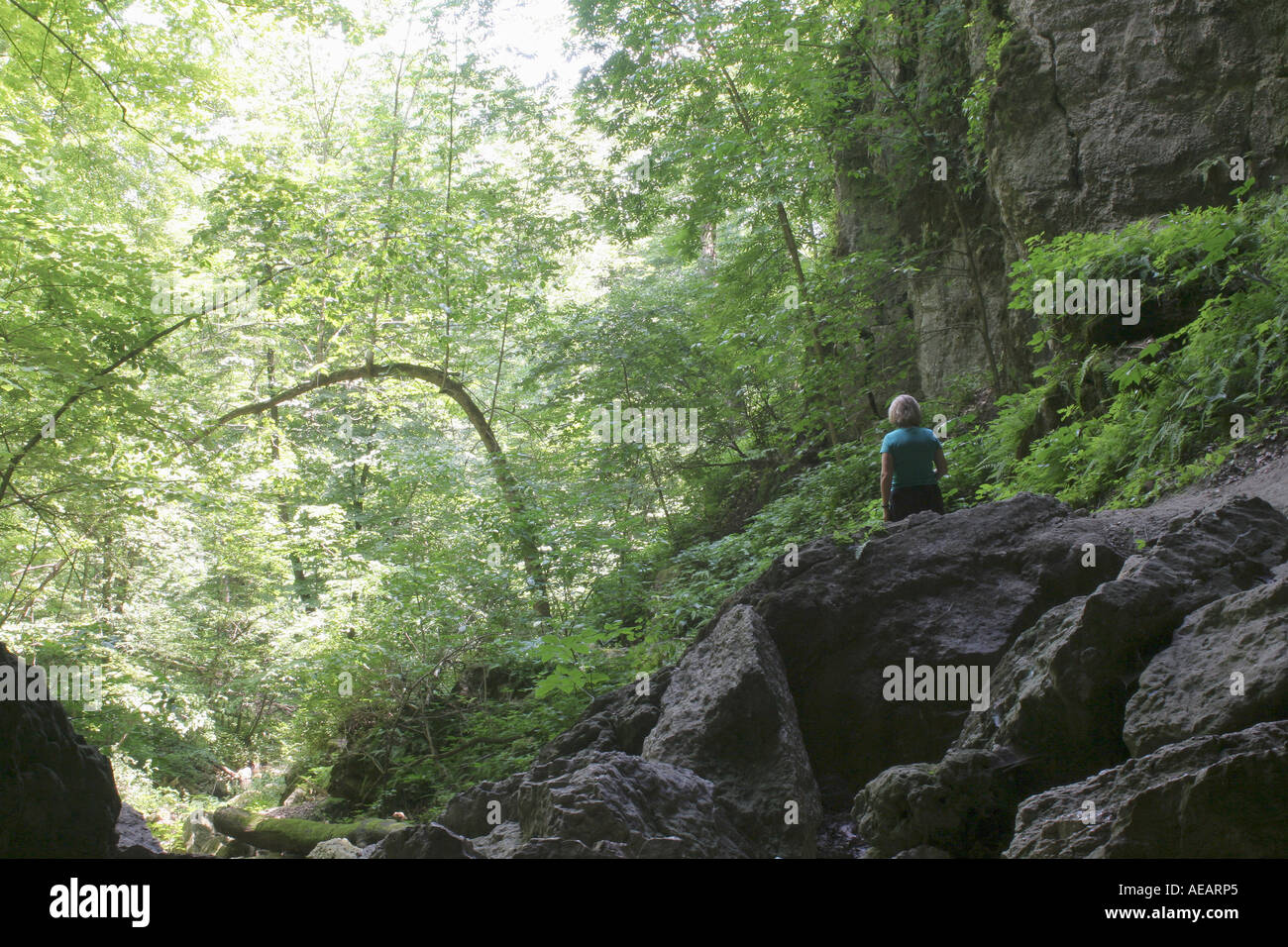 Caves spring trail hi-res stock photography and images - Alamy
