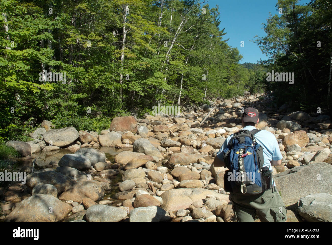 Rocky Branch River next to the Rocky Branch Trail during the summer ...