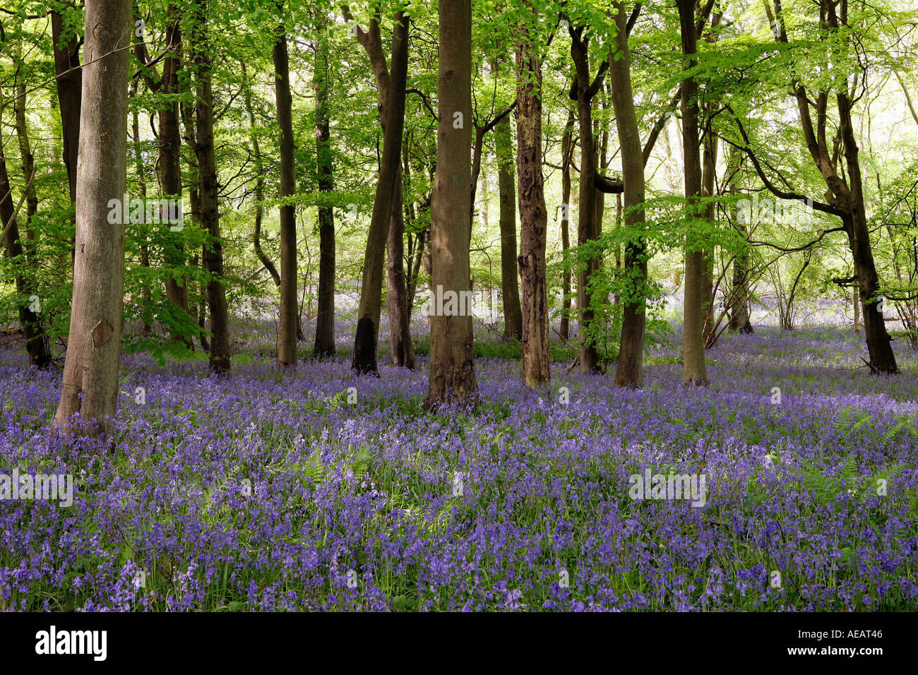 Bell shaped fields hi-res stock photography and images - Alamy