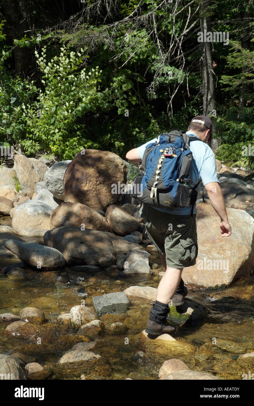 Rocky Branch Trail White Mountains New Hampshire USA Stock Photo - Alamy