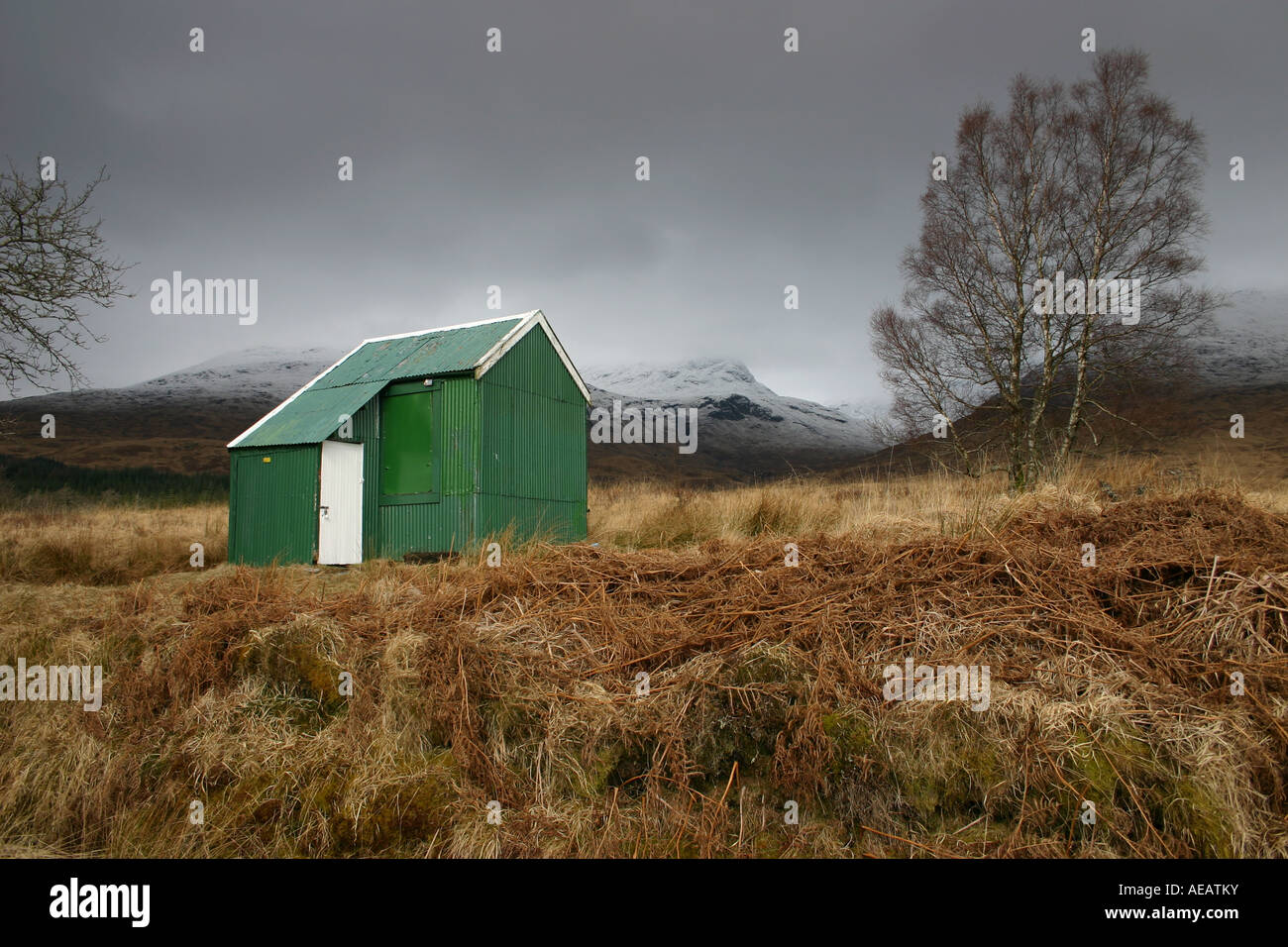 Green shack in Scotland Stock Photo - Alamy