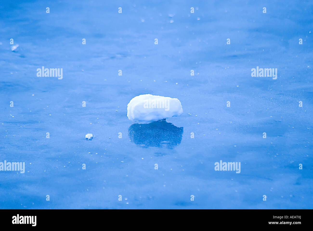 A snowball lying on top of blue ice on the ocean surface a cold January ...