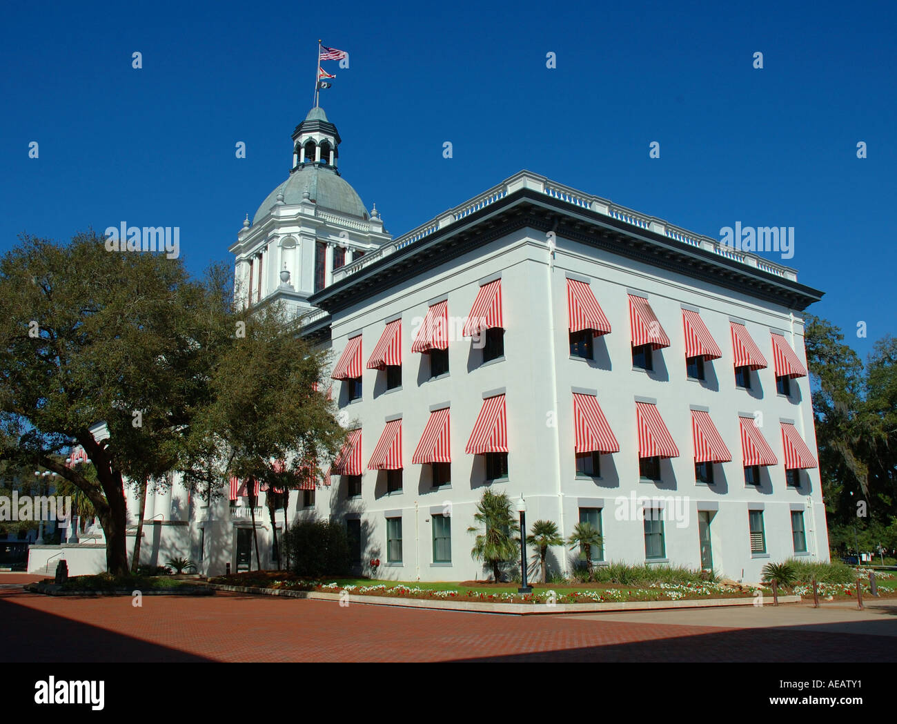 Historic state capitol, Tallahassee, Florida, USA Stock Photo - Alamy