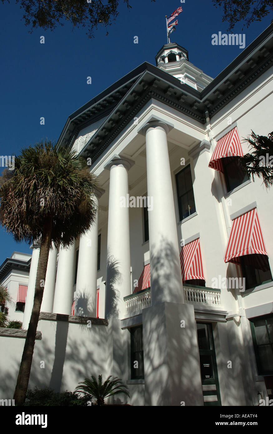 Historic state capitol, Tallahassee, Florida, USA Stock Photo - Alamy