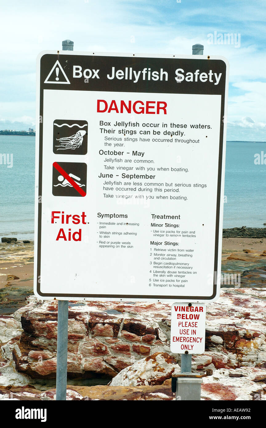 Box Jelly fish safety Stock Photo - Alamy