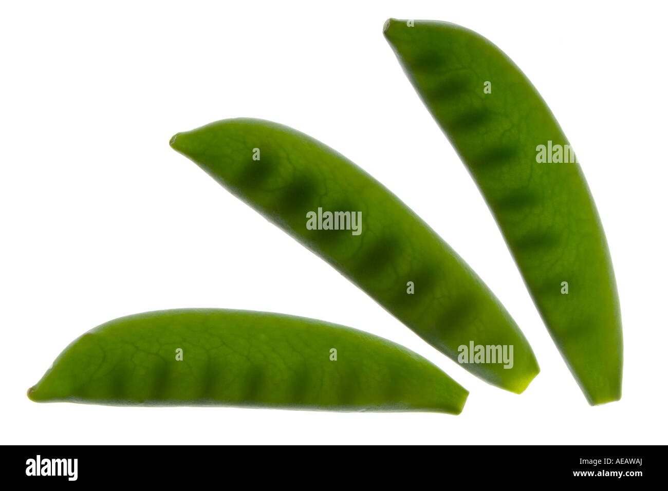 Sugar snap peas shot on top of a soft box to show the peas within the ...