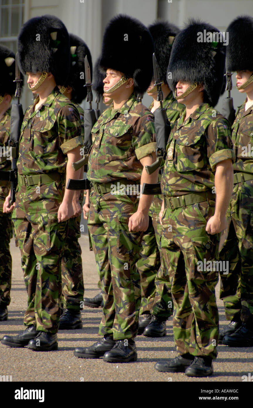 Wellington barracks, london hi-res stock photography and images - Alamy