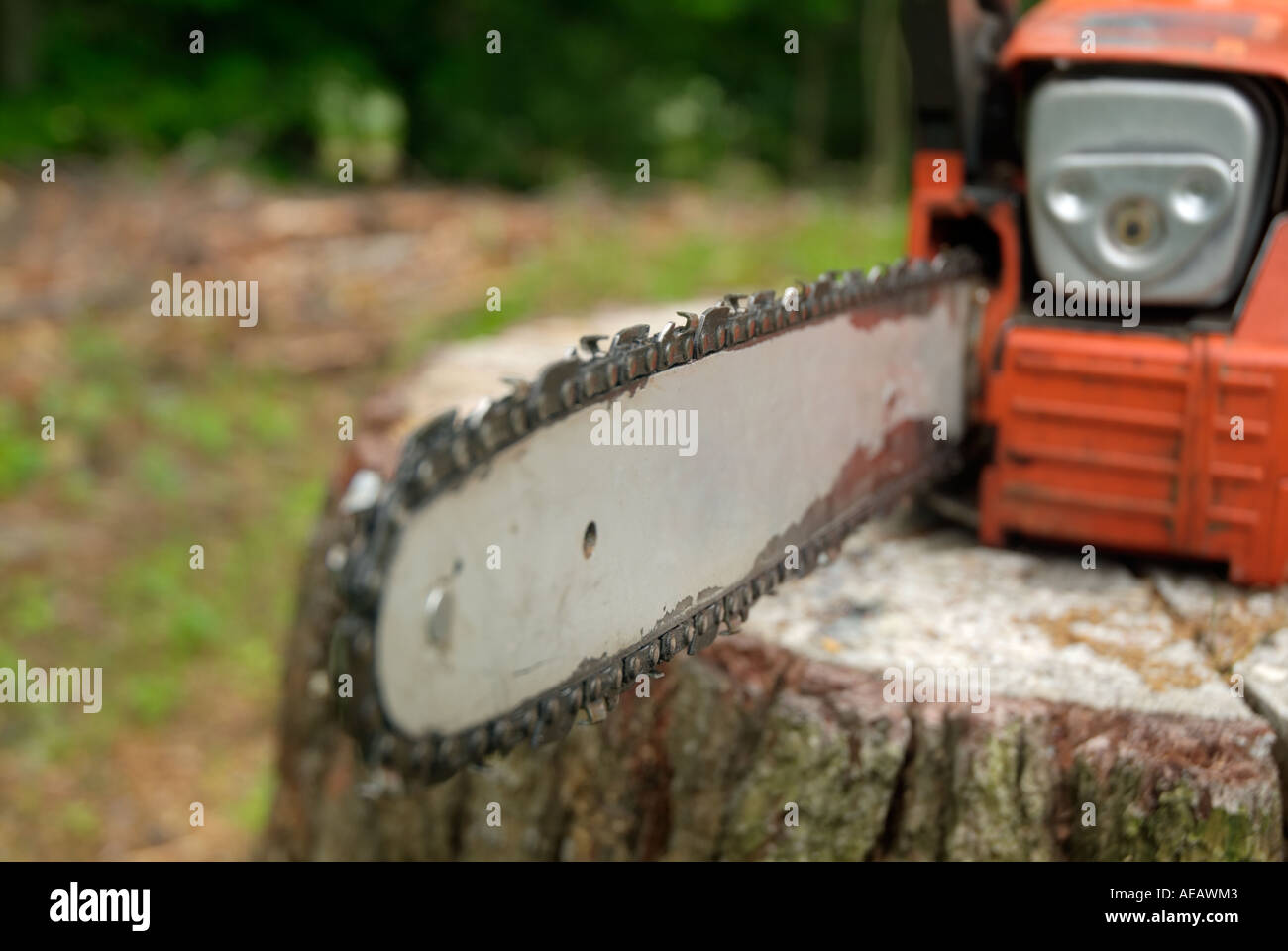 Two man chain saw hi-res stock photography and images - Alamy
