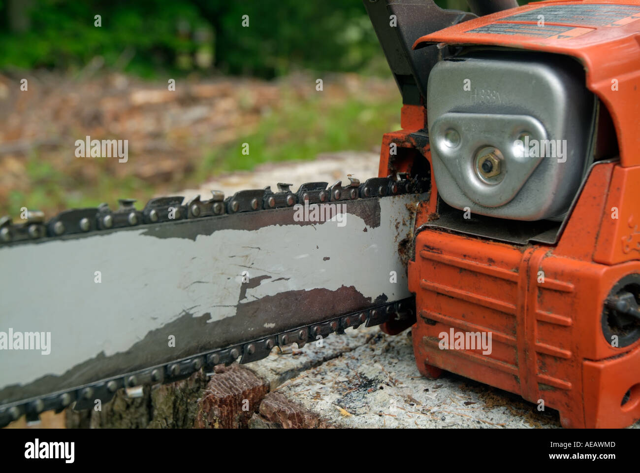 Chainsaw scene hi-res stock photography and images - Alamy