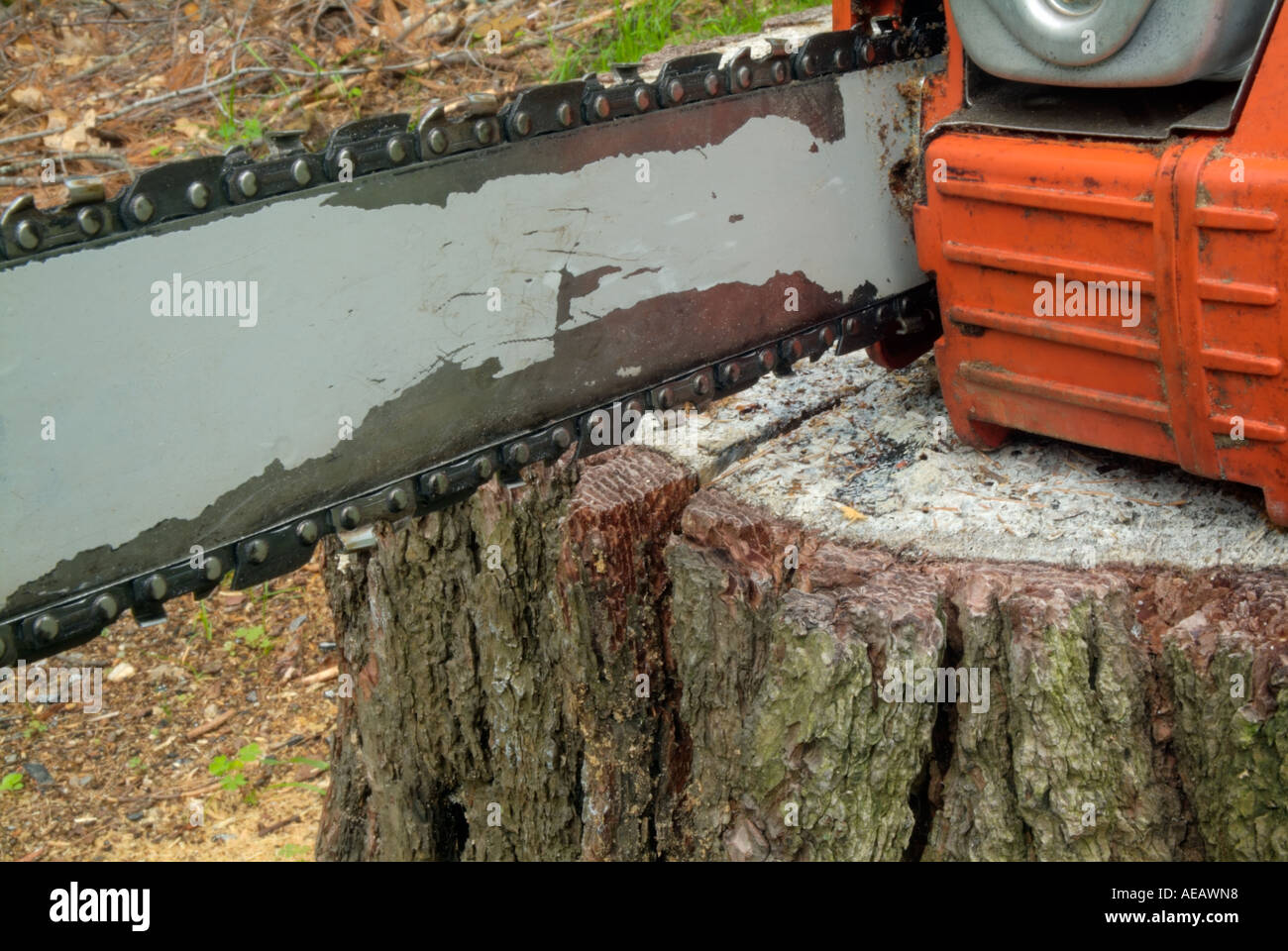 Chainsaw scene hi-res stock photography and images - Alamy