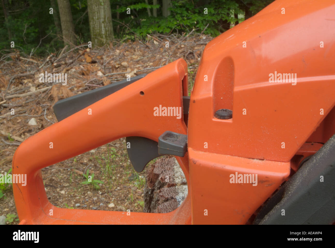 Logging dangers hi-res stock photography and images - Alamy