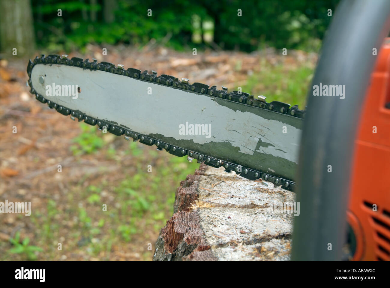Chainsaw scene hi-res stock photography and images - Alamy