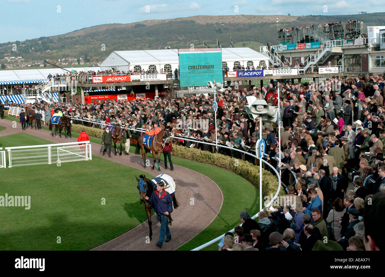 Racing horses parade ring hi-res stock photography and images - Alamy