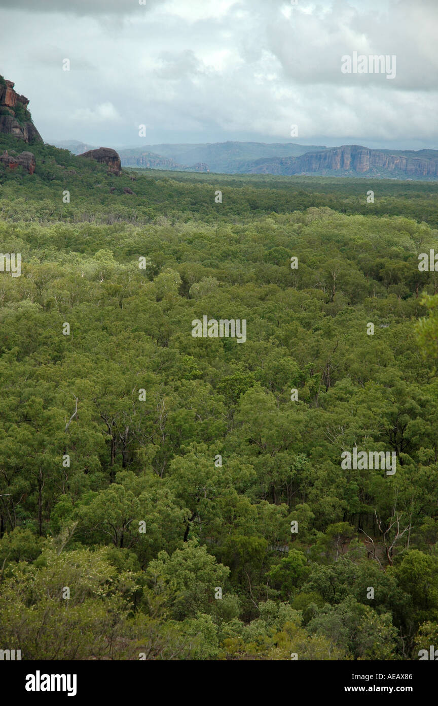 Wet season Kakadu National Park Stock Photo - Alamy