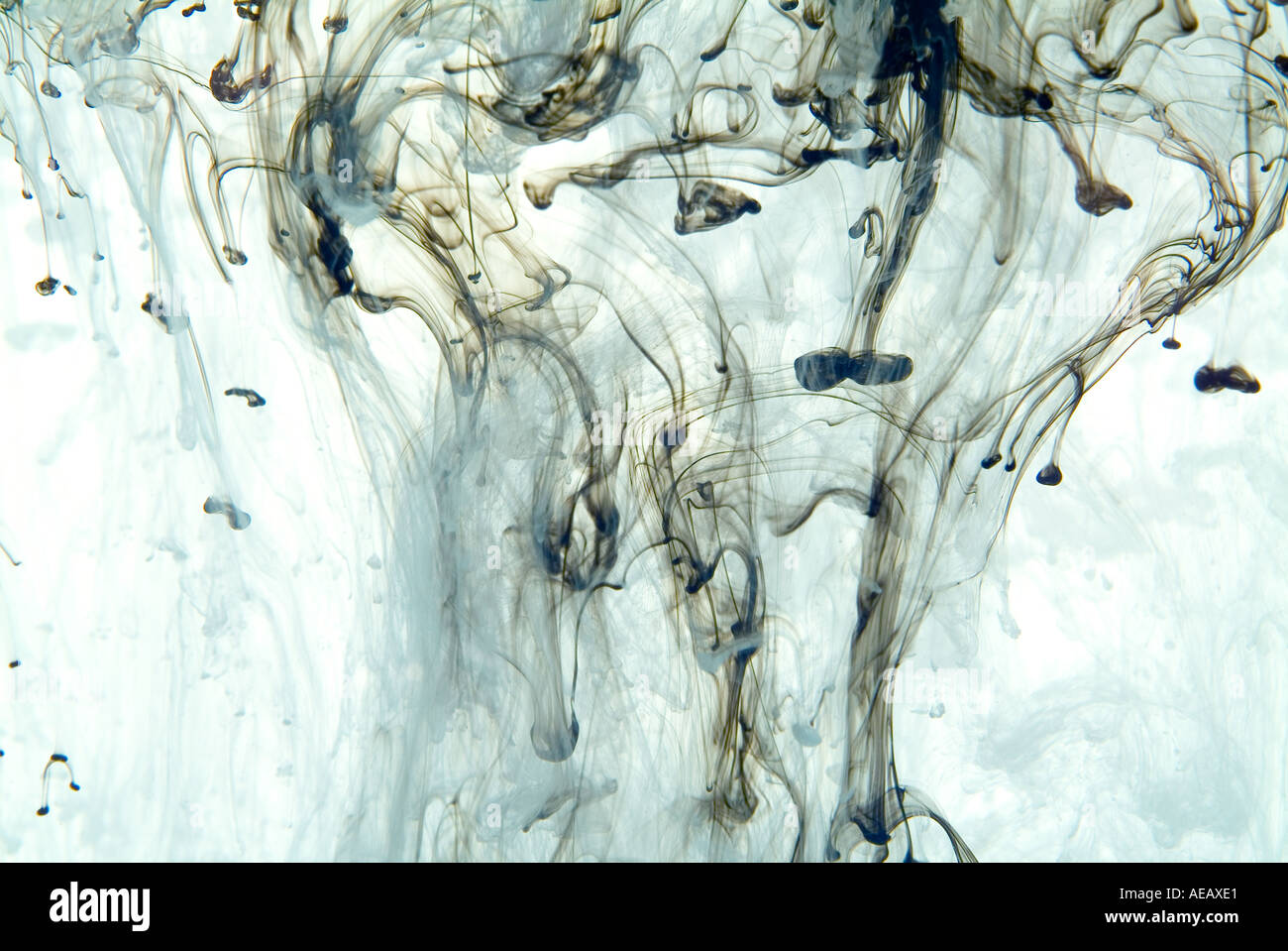 Coloured ink in water creating graphic swirling patterns Stock Photo ...