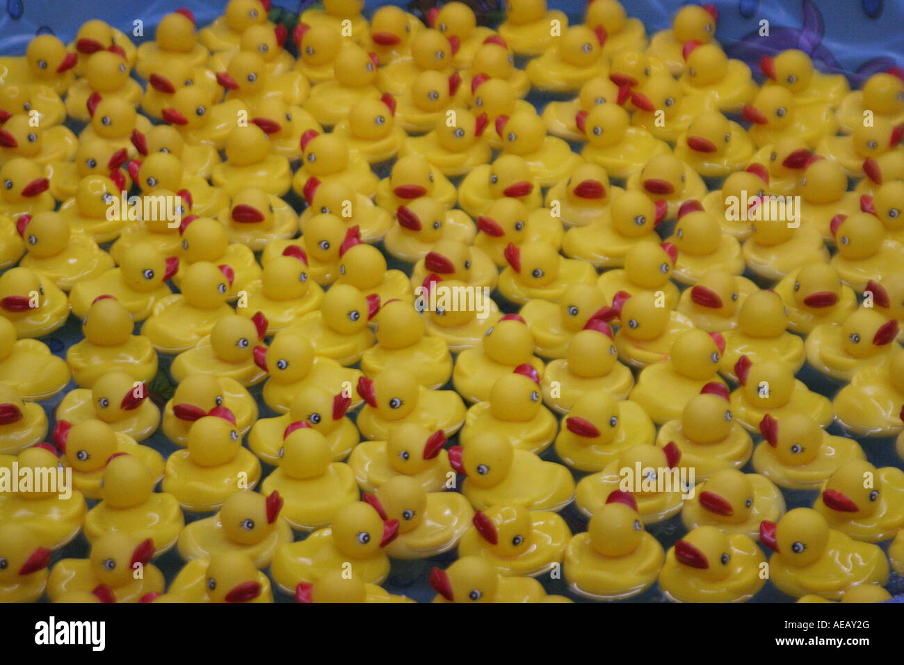 Rubber duck duckies pond hi-res stock photography and images - Alamy