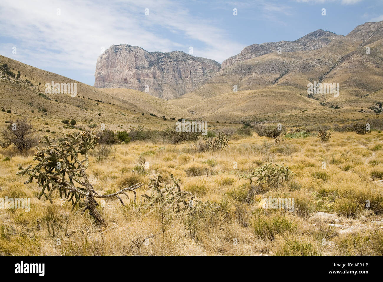 West texas ranch landscapes hi-res stock photography and images - Alamy